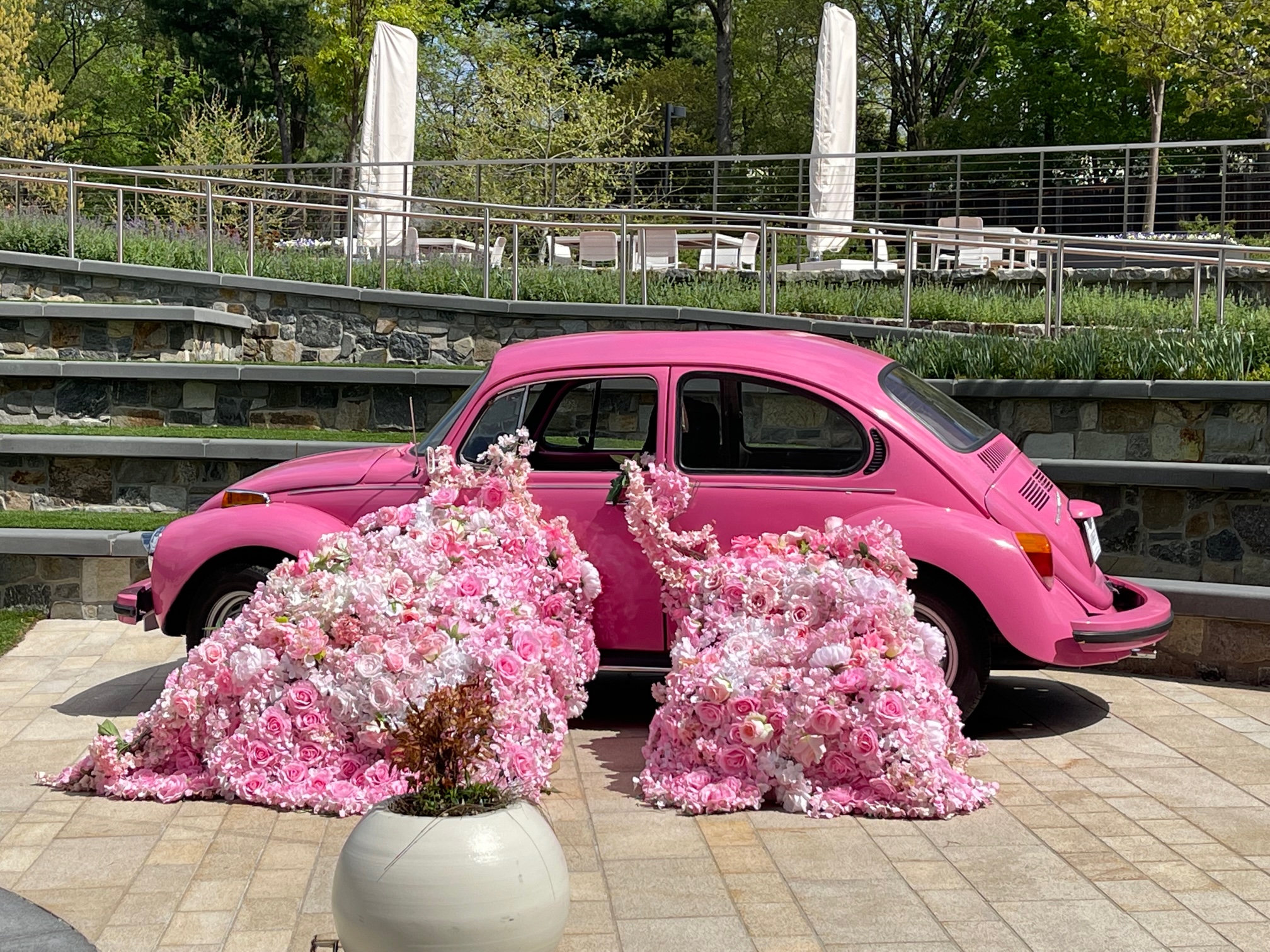 CHEVY CHASE - TOP 5 RESTAURANTS | The Lise Howe Group